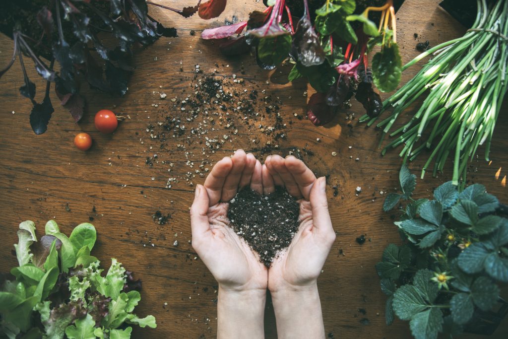 Le guide du jardinage pour les débutants - Guide-Maison.ca Le guide du jardinage pour les débutants - Guide-Maison.ca